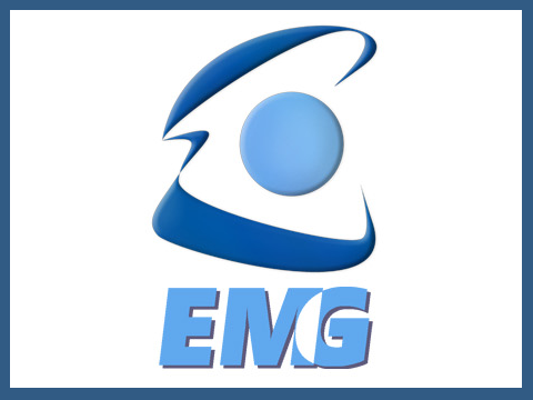 企業概要｜EMG official website